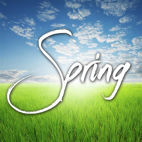 Spring Typography Art 01 By Matthias Hauser