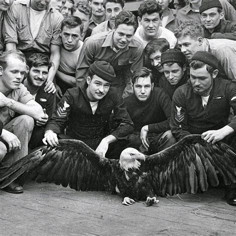 U S Sailors Pose With An Eagle They Rescued In 1944 R Oldschoolcool