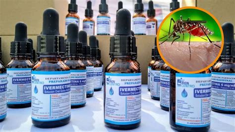 Uso De Ivermectina No Cura El Dengue Y Puede Poner En Peligro La Salud Del Paciente Infobae
