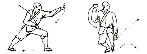 What Is Shaolin Xiao Hong Chuan Or Small Form Hong Quan 小洪拳