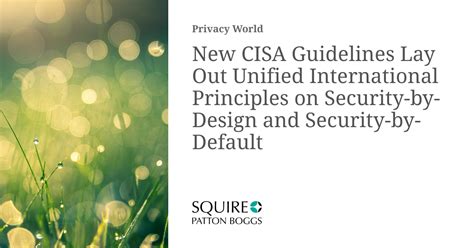 New Cisa Guidelines Lay Out Unified International Principles On