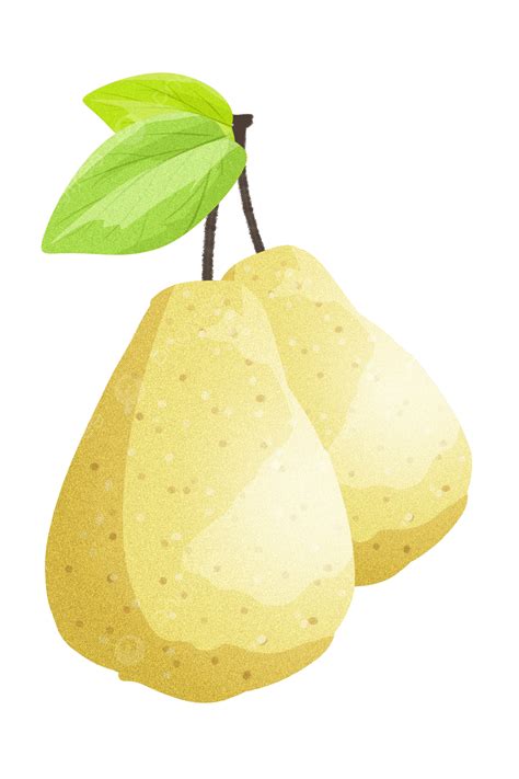 시드니 가을 가을의 시작 가을 춘분 Png 일러스트 및 이미지 에 대한 무료 다운로드 Pngtree