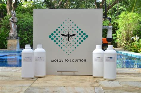Mosquito Borne Diseases And The Power Of Prevention