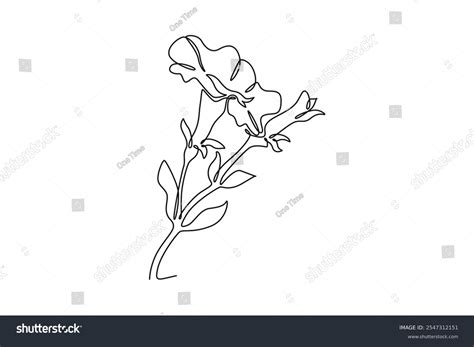 Continuous One Line Drawing Beauty Fresh Stock Vector Royalty Free 2547312151 Shutterstock