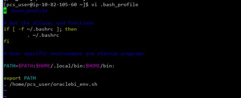 Oracle Business Intelligence Adding Environment Variable In Bashprofile In Linux