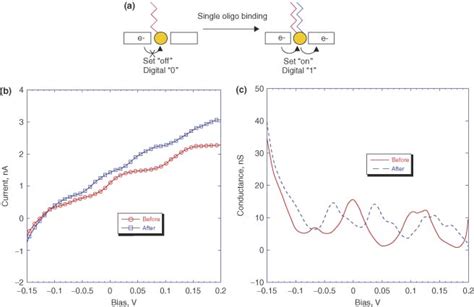 Illustration Of The Concept Of ‘digital Detection Of Oligonucleotide Download Scientific