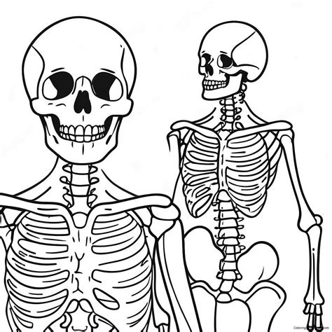 Skeletal System Anatomy Coloring Page 50353 39842