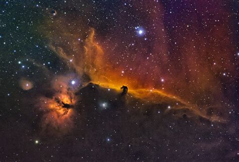 Divinity School Unveils Nature Photo Creation Wall Adventist Review