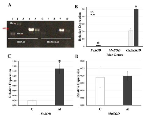 Reverse Transcriptase PCR RT PCR A And Quantitatively RT PCR Download Scientific Diagram