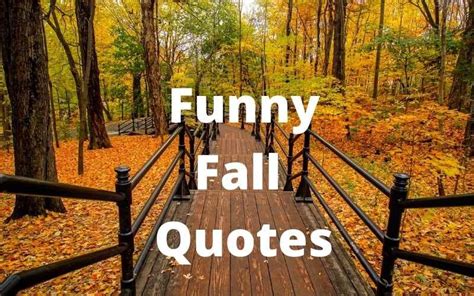 Funny Fall Quotes And Sayings Shortquotes Cc Hot Sex Picture