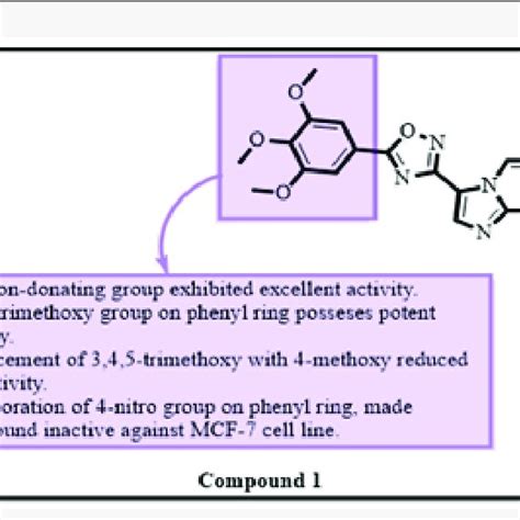 Structure Activity Relationship Of 124 Oxadiazole Quinoline