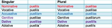 Latin Noun Endings Organised By Declension And Verb Tables Flashcards Quizlet