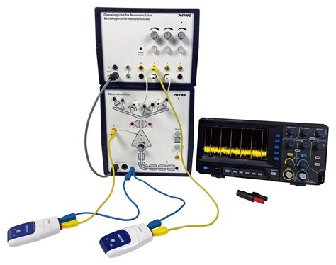 The Nerve Cell With Cobra Smartsense Phywe