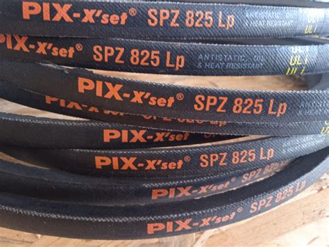 Купить Ремень для газонокосилки SPZ 825 Lp, 10x825 Lp - PIX India, цена ...