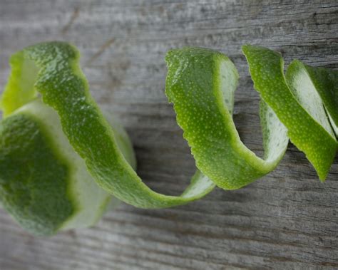 White Stuff On Lime Peel At Katharyn Cheryl Blog