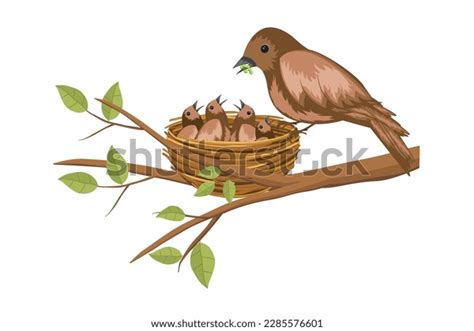Thousand Bird Nest Drawing Royalty Free Images Stock Photos Pictures Shutterstock