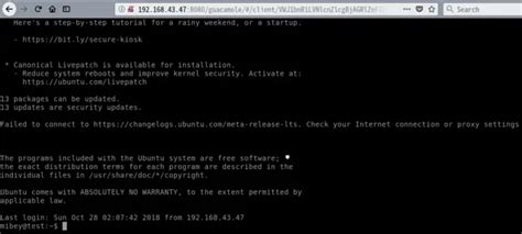 Setup Guacamole Remote Desktop Access Tool On Ubuntu 1804