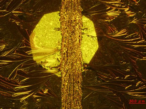 第20回 Jsapフォト＆イラスト コンテスト 受賞作品紹介 応用物理学会