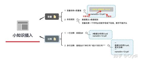 Python的由来及基础编程语言 知乎