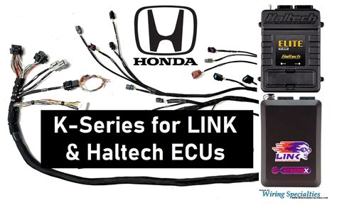 Bmw E30 K20 K24 Swap Harness For Link And Haltech Ecus Wiring Specialties
