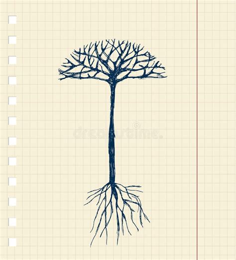 Sketch Tree With Roots For Your Design Stock Vector Illustration Of White Roots 17760903