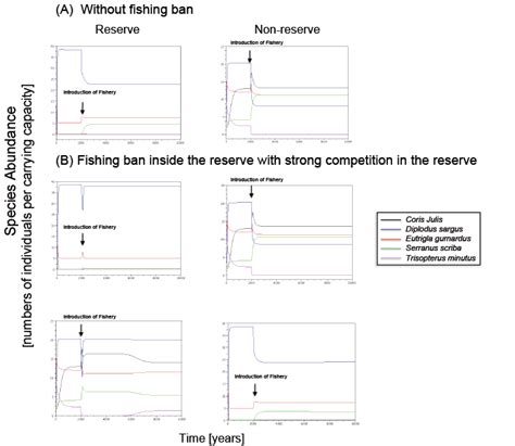 Simulation Of Species Abundances Communities Are Interconnected With A Download Scientific