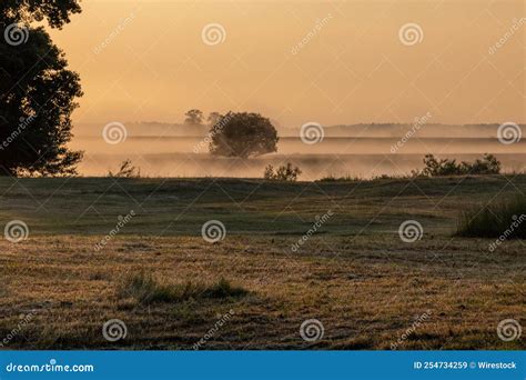 Scenic View Of A Field And Trees Covered With Fog At Sunrise Stock Image Image Of Sunrise