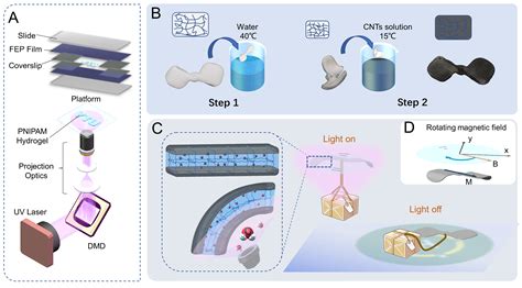 烟台大学科研团队在SENSORS AND ACTUATORS B CHEMICAL上发表学术论文 烟台大学 YanTai University