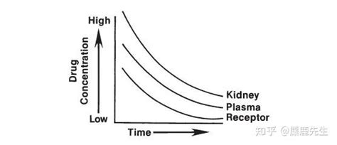 系统性学习临床药代动力学（pk）系列（一）：药代动力学（pk）和药效动力学（pd）概述——上 知乎