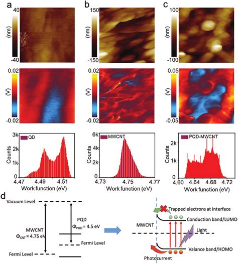 A C Kpfm Measurement Of Work Function Of Pqd Mwcnt And Pqd Mwcnt