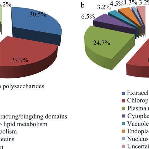 Functional Classification And Localization Of The Identified Download Scientific Diagram