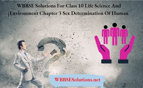 Wbbse Solutions For Class 10 Life Science And Environment Chapter 3 Sex Determination Of Human