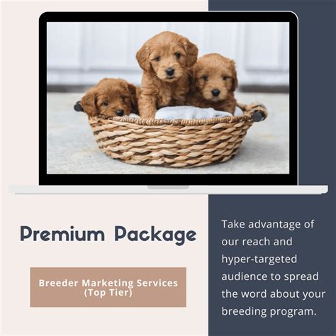 Breeder Marketing Premium Doodle Doods