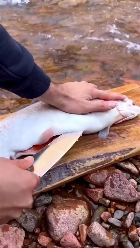 Outdoor Fish Bbq Perfect Recipes For Grilling Fresh Fish Fish