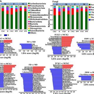 Taxonomic Composition And Species Difference Analysis Between Sexes In Download Scientific
