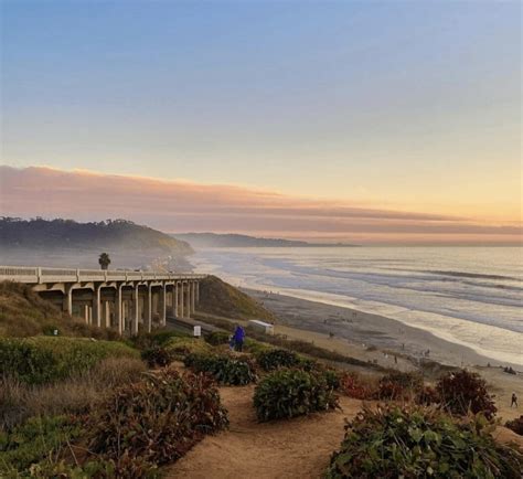 Del Mar| Rande Turner Collective