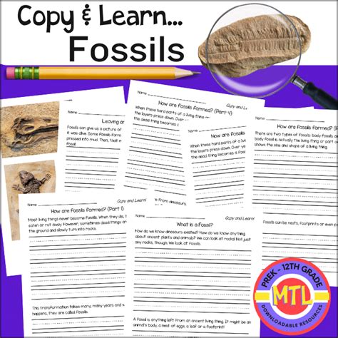 Fossils Copy And Learn Homebabe Curriculum Fair