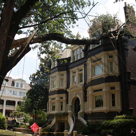 Hazard And Danger Tree Cutting And Felling North American Training Solutions