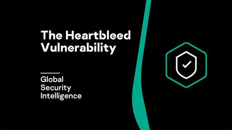 The Heartbleed Vulnerability Video Global Security Intelligence Enterprise Security YouTube