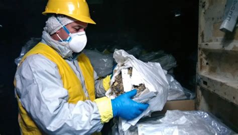 Expert Tips On How To Handle Asbestos Contamination After Testing