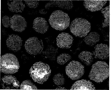 Preparation Method Of Propylene Polymerization Solid Titanium Catalyst