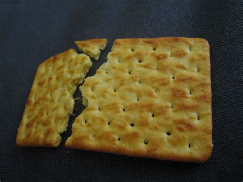 File Broken Cracker  Wikimedia Commons