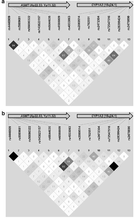 Haplotype Block Structure Of Asmt And Cyp1a2 Reported Are Pairwise Ld