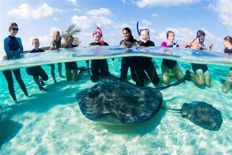 Bimini Day Trip Honeymoon Harbour And Sapona Cruise Book Tours
