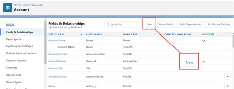 Salesforce Encrypted Field