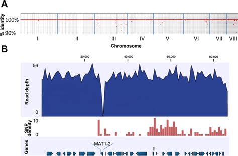 Genomic Comparison Of Afb62f9 And Afb62 A Whole Genome Coverage Plot