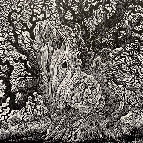 Weathered Chestnut By Weathered Chestnut By