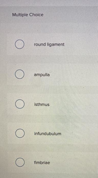 solved which structure is highlighted multiple choice o