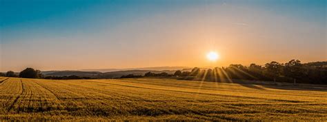 Land Use Transition — Potsdam Institute For Climate Impact Research