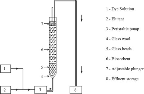 up flow packed bed column experimental set up download scientific